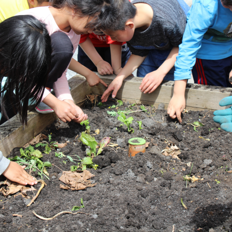 Zero Waste Heroes - Fuel the Movement - SPEC