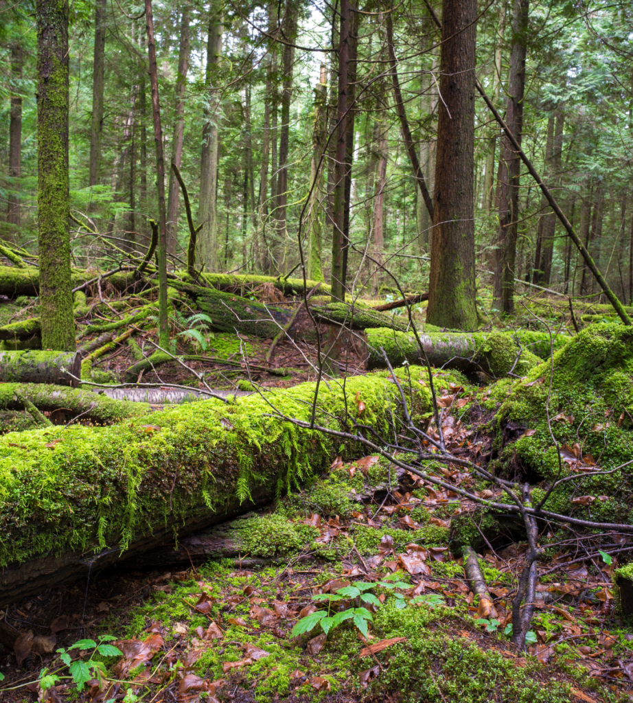 Nurturing Hope and Community: 10+ Events for Deepening Your Connection ...